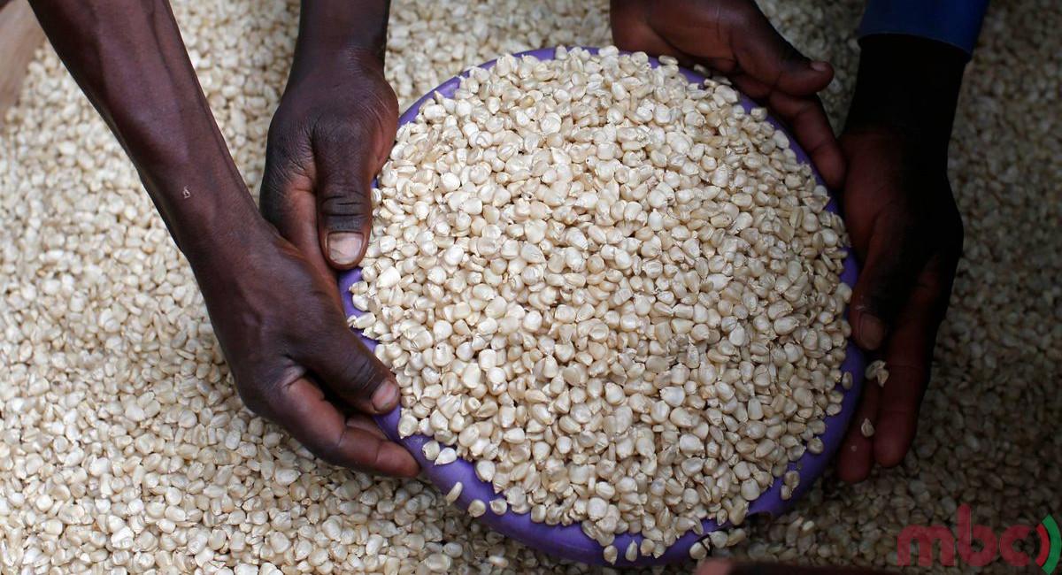TANZANIA MAIZE IMPORT BAN LIFTED – Malawi Broadcasting Corporation