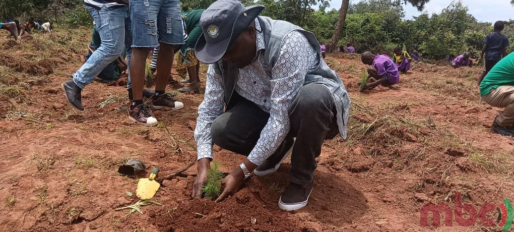 RAIPLY PLANTS 1.2 MILLION TREES - Malawi Broadcasting Corporation