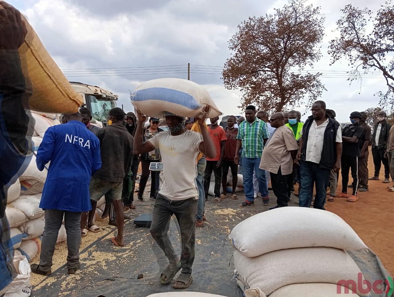 NFRA guarantees sufficient maize stocks – Malawi Broadcasting Corporation