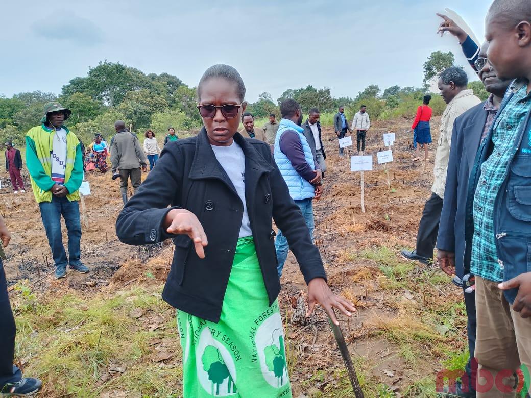 Livingstonia Synod to plant more than 5 million trees – Malawi ...