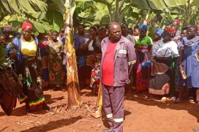 Hunger and Despair Grip Dzaleka Camp – Malawi Broadcasting Corporation
