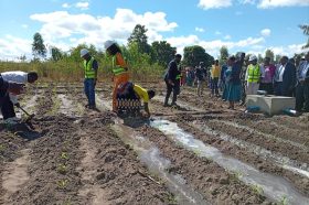 Hunger and Despair Grip Dzaleka Camp – Malawi Broadcasting Corporation